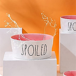 FUUIE Bowls for Food and Water Large Capacity Cat Ceramic Bowl Big Dog Food Water Feeder Pet Drink Eat Feeding Accessories Puppy Kitten Dish Bowls (Color : Blue)