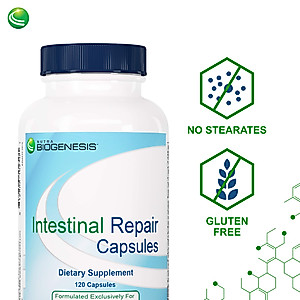Nutra Biogenesis Intestinal Repair Capsules - Herbal Gut Health Supplement for Women & Men with Sodium Butyrate, Daily - 120 Capsules
