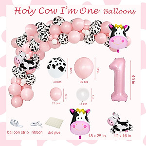 Fiesec Holy Cow I'm One Birthday Decorations, Cow First Birthday Party Supplies Girl, Cow Print 1st Decorations, 1st Birthday Girl Decorations