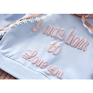 HZYBABY Baby Girls Long Sleeve Princess Skirt Dress for Toddler Swing Casual Hoodie Sweatshirt Dress Knee Length Blue, 3T