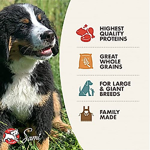 Fromm Large Breed Puppy Gold Premium Dry Dog Food - Dry Puppy Food for Large Breeds - Chicken Recipe - 30 lb