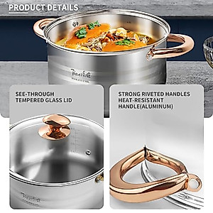 BAERFO 1.5 Quart Stock Pot,5 Ply 18/8 Stainless Steel Cooking Stock Pot with Lid, 1.5 QT Soup Pot, Healthy Stockpots, Casserole, Stew, Induction, Oven,Gas and Dishwasher Safe Pot