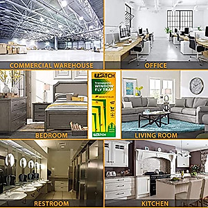 UCatch Transparent Window Fly Traps (13 Pack) to Catch House Flies, Moths, Gnats, Spiders, Bugs. Green, Eco-Friendly See Through Paper with NO Poison