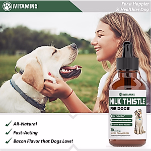 Milk Thistle for Dogs | Supports Liver and Kidney Health | Milk Thistle for Dogs Liver Support | Dog Milk Thistle | Dog Liver Support | Dog Liver Supplement | Milk Thistle Supplement for Dogs | 1 oz