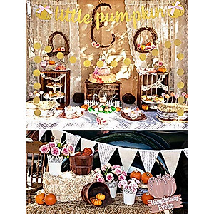 Gold Glittery Little Pumpkin Banner for Pumpkin Baby Shower Party Decorations, Thanksgiving Fall Theme Baby Shower Kid’s Birthday Party Decorations