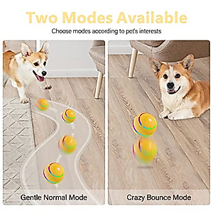 【2023 Newest】Interactive Dog Toy Ball with Remote Control and LED Flash Light, Rechargeable Wicked Ball Made of Durable Safe TPU, Motion Activated Rolling Ball Toys for Dogs/Cats with 2 Work Modes