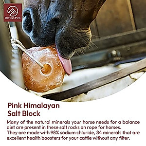 Glowyn Pink Himalayan Salt Lick - Round Block on Rope - 6 lbs. (3 Pack)- Great Nutrition for Horses, Cattle, and Live Stock - 6 lbs.- 3 Pack