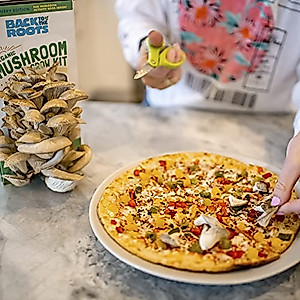 Back to the Roots Organic Mushroom Grow Kit - Oyster and Pink Mushroom 2-Pack Variety - Indoor Non-GMO Growing Kit - Produces 3-4 Servings and Grows in 10 Days