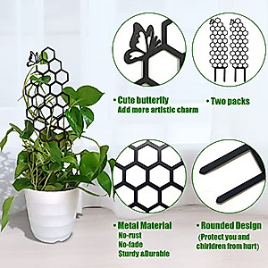 2 Pack Metal Trellis for Houseplants, 19 Inch Garden Plant Trellis for Indoor Climbing Plants, Honeycomb Shape Trellis for Ivy Pothos Vines Hoya Flower
