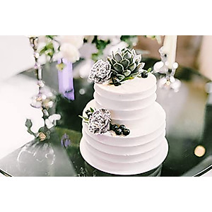 Shop Succulents | Radiant Rosette Collection of Live Succulent Plants, Hand Selected Variety Pack of Mini Succulents | 32-Pack