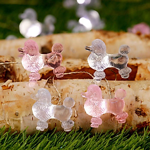 3D String Lights 10ft 30 LEDs Pink Gray Poodles Dog Plus Twinkle Lights, USB Plug in Battery Operated with Remote and Timer for Indoor Wedding Birthday Parties Christmas Ornament