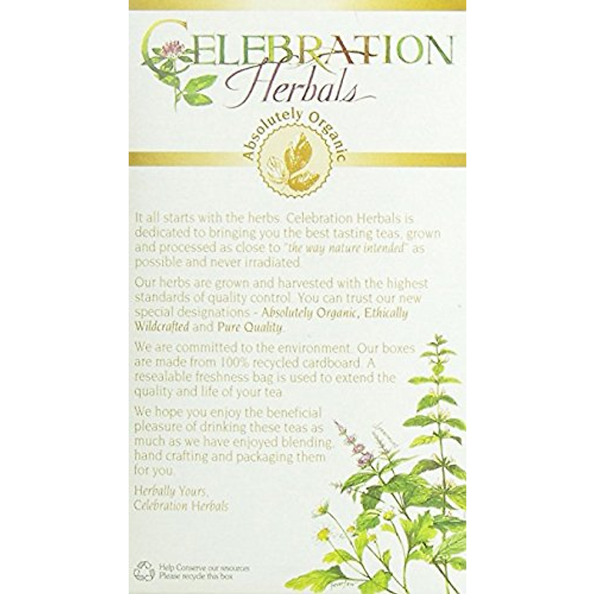 Celebration Herbals Organic Burdock Root Tea Caffeine Free - 48 Teabags in Total