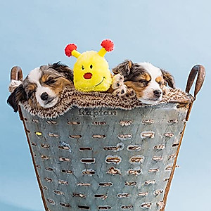 ZippyPaws - Colorful Caterpillar Dog Toy, Rainbow Dog Toy with Squeakers, Plush Dog Toys for Aggressive Chewers, Summer Dog Toys, Rainbow Dog Pride Accessories