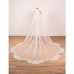 EllieWely 1 T Cathedral Length Floral Lace Appliques Wedding Bridal Veil Ivory