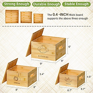DALSHABET Potato and Onion Storage Bins, Premium Pantry Organizers and Storage, Bamboo Vegetable Garlic Keeper Solutions for an Organized Kitchen Beige