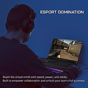 MSI 2022 GE76 Raider Gaming 17.3" Thin Bezel IPS FHD 144Hz Laptop, 12th Core i7-12700H, 64GB RAM, 4TB PCIe SSD, Backlit Keyboard, GeForce RTX 3060 6GB, FHD Webcam, Win11 Pro, Grey, 32GB USB Card