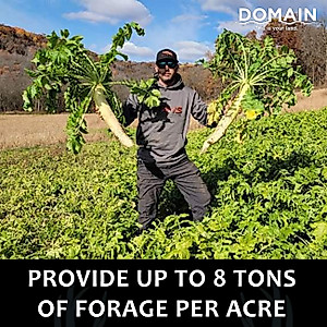 Domain Outdoor Illicit Food Plot Seeds, Fast Growing Variety of Deer Radish, Perfect Seed for Spring, Summer or Fall, Leafy Greens, Sugar-Filled Tap Root, Up to 8 Tons of Forage Per Acre, 1/2 Acre