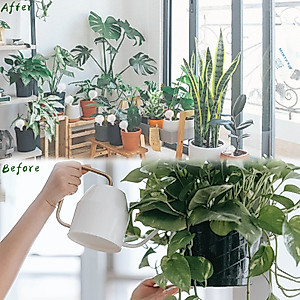 OJYUDD 20 Pcs Plant Watering Bulbs,Clear Automatic Watering Globes,Plastic Watering Balls for Plant Indoor Outdoor,Garden Water Device