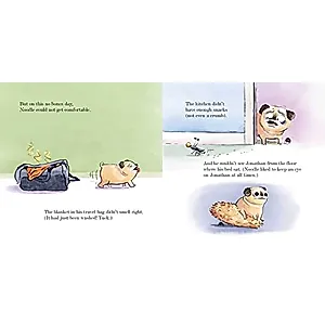 Noodle Conquers Comfy Mountain (Noodle and Jonathan)