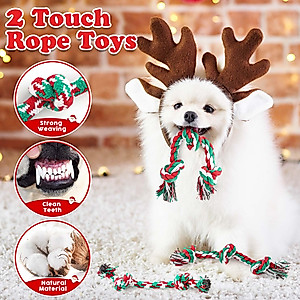 HOHOM Christmas Dog Toys, 9 Pack Luxury Puppy Chew Toy, Cotton Squeaky Plush Toys for Small Dogs, Durable Interactive Rope Treat Dog Ball and Bones, Rubber Teething Toys for Puppies Dogs