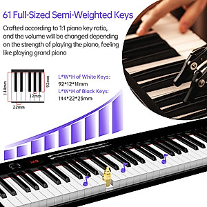 TERENCE Keyboard Piano with 61 Semi-weighted Keys LCD Display & 1800mAh Battery Support MIDI USB Interface & Piano Application with Bluetooth Sheet Music Stand Sticker Bag Audio Cable Earphones