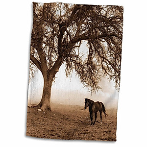 3D Rose Western Sepia Toned Horse on a Ranch with an Oak Tree TWL_202972_1 Towel, 15" x 22", Multicolor