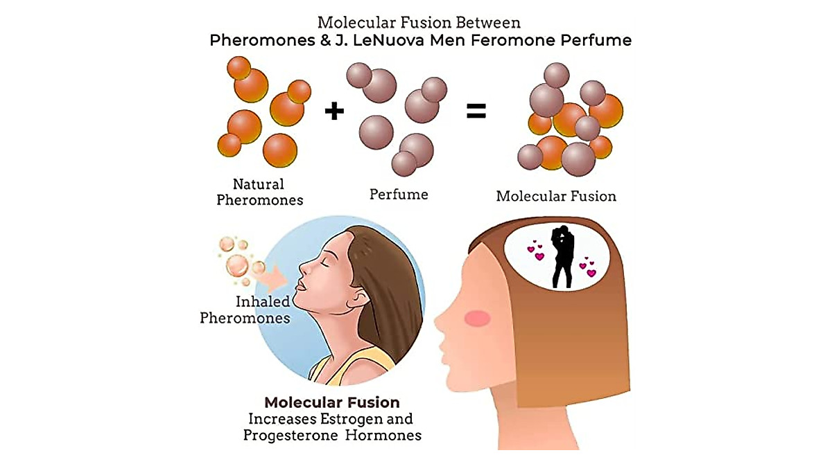 Attract Women with NSRA Extra Strong Pheromones