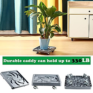 KvyusFlourish 3 Pack Plant Caddy with Wheels 12" Plant Stand Potted Plant Mover Heavy Duty Plant Dolly with Casters for Indoor and Outdoor Large Plant Roller Base Rolling Plant Dolly, Grey