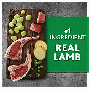 NOBLE ORGANICS Purre Ballance Lamb & Fava Bean Recipe Dry Dog Food, Grain-Free, 11 lbs, Supports Immune System, Digestion, and Coat Health