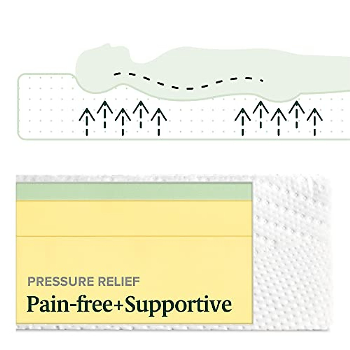 ZINUS 12 Inch Green Tea Essential Memory Foam /Bed-in-a-Box/Affordable Mattress/CertiPUR-US Certified, Queen, White