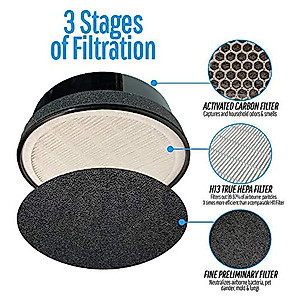 Flintar H13 True HEPA Replacement Filter, Compatible with LV-H132 Air Purifier, Part # LV-H132-RF, 2-Pack