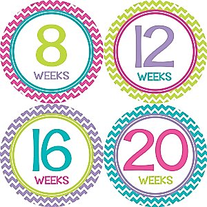 Weekly Pregnancy Growth Stickers Week Pregnant Expecting Photo Prop (Set of 12)