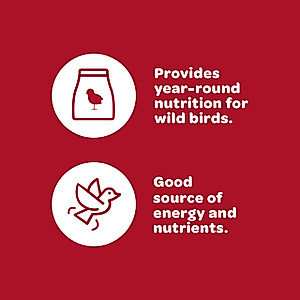 Kaytee Nyjer Wild Bird Food Seed, 8 Pound