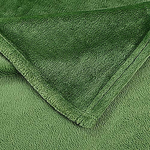 PiccoCasa Fleece Blanket King Size - 350 GSM Soft Warm All Season Flannel Blanket for Couch Sofa Bed Traveling - Fuzzy Lightweight Microfiber Plush Blankets, 90 x 108 Inches, Green