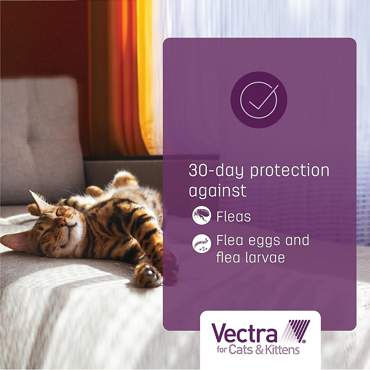 Vectra Tan for Cats and Kittens 2-9 Pounds 6 Doses