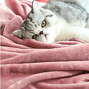 TASTHROW Large Flannel Fleece Throw Blanket, 50×70 Inch - Cozy Lightweight Thick Blanket - All Seasons Suitable for Women, Men and Kids (Pink)