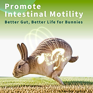 NUTRIARISE Digestive Support Grass-Based Supplement for Rabbit- High Fiber, Probiotics，Prevent GI Stasis, Promote Intestinal Motility and Minimize Intestinal Disease, 36 Tablets.