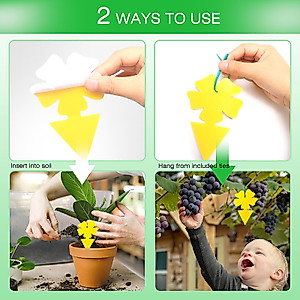 60Pack Fruit Fly Traps Fungus Gnat Traps Yellow Sticky Bug Traps for Indoor Outdoor Plants, Pest Insect Catcher Killer for Whitefly, Fungus Gnat, Mosquito and Bug, Non-Toxic, 4 Shapes