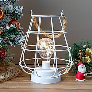 JHY DESIGN Decorative Cage Bulb Lamp Battery Powered Lights 8.5" Tall Cordless Accent Light with Edsion Style Bulb Great for Weddings Parties Patio Events for Indoors Outdoors(White)