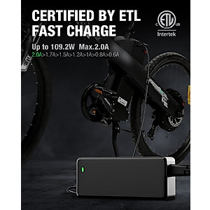 54.6V 2A eBike Charger for 48V Lithium Battery Compatible with 48V Lectric XP 1.0/2.0/3.0,Lectric XPremium, DC 5.5-2.5/2.1mm Bicycle Battery Charger Power Adapter