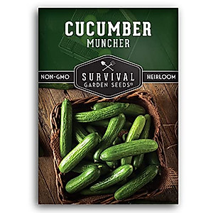 Survival Garden Seeds - Muncher Cucumber Seed for Planting - Packet with Instructions to Plant and Grow Delicious Burpless Slicing Cucumbers in Your Home Vegetable Garden - Non-GMO Heirloom Variety
