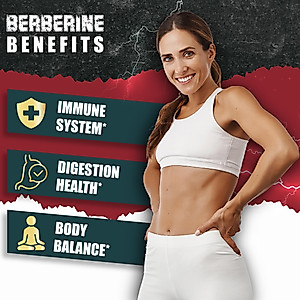 5-in-1 Berberine with Ceylon Cinnamon Milk Thistle Turmeric Artichoke - 3 Month Supply - 90 Capsules