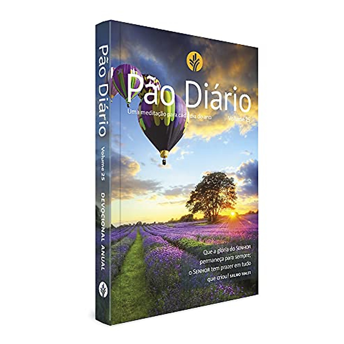 Biblia de Recursos Para Ministerio com Criancas ( Ara ) - Luxo Preta