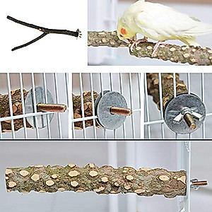 kathson Natural Bird Wood Perch Parakeet Standing Toy Sticks Parrot Paw Grinding Branches Cockatiels Cage Chewable Accessories for Conures Macaws Finches 8 PCS