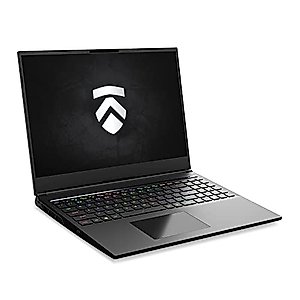 Eluktronics MECH 16 GP RTX 4090 Gaming Laptop: Intel Core i9-13900HX, 16" 16:10 240Hz QHD G-SYNC Panel, Cherry MX Mechanical Keyboard, 99.8WHr Battery, Thunderbolt 4, 2TB NVMe Gen 4 SSD, 64GB DDR5 RAM