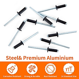 600pcs Pop Rivets Assortment Kit, 14 Sizes Aluminum Rivets 3/32" 1/8" 5/32" 3/16", Assorted Black Rivets with Reinfored Divider and Labeled Case (Black)