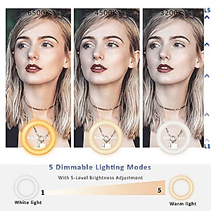 Video Conference Lighting,Webcam Lighting,Ring Light for Monitor Clip On,Zoom Call Lighting, Remote Working, Distance Learning,Self Broadcasting and Live Streaming, Computer Laptop