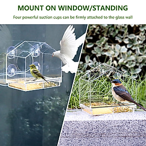 XTKS Bird Feeder, Hanging Bird Seed Feeder, Bird Feeding Station Outdoor Window Bird Feeder with Ultra-Strong Suction Cups - Perfect for Attracting Cardinals, Finches, Chickadees