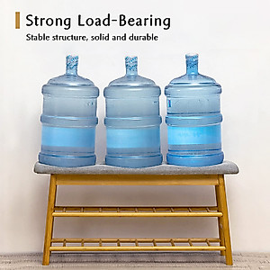 IOTXY Shoe Rack Storage Bench - Bamboo Shoe Shelf with Cushioned Seat and Organizer Compartment, Upholstered Bench for Entryway, Hallway, Bedroom, 27.6"