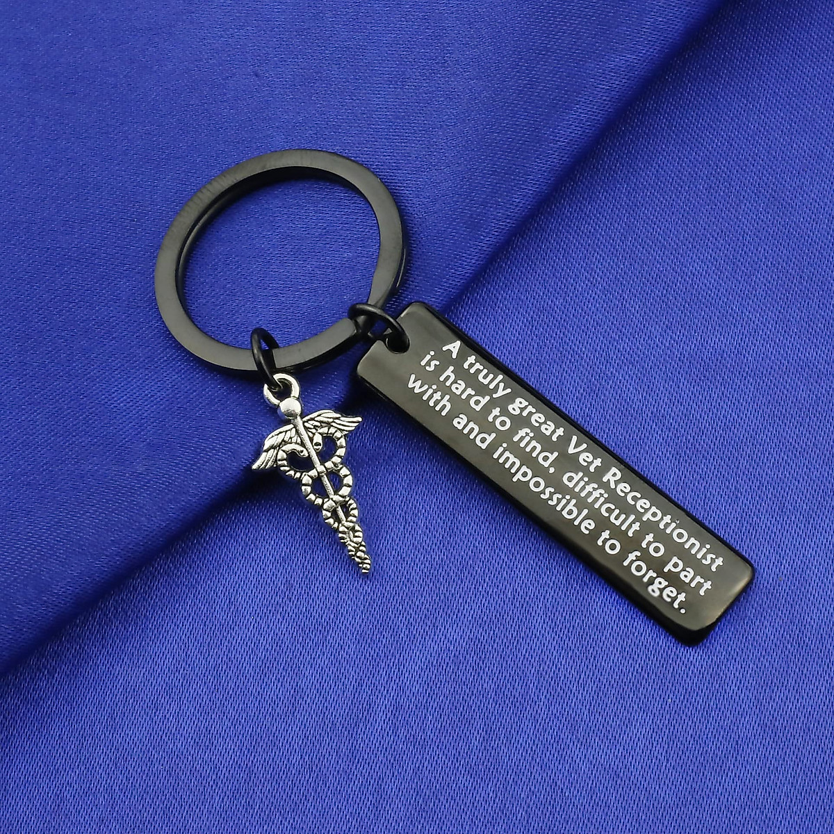 Vet Receptionist Keychain Vet Tech Gift Veterinary Assistant Vet Nurse Gift Veterinary Medicine Gift (Vet Receptionist KB), 1.18